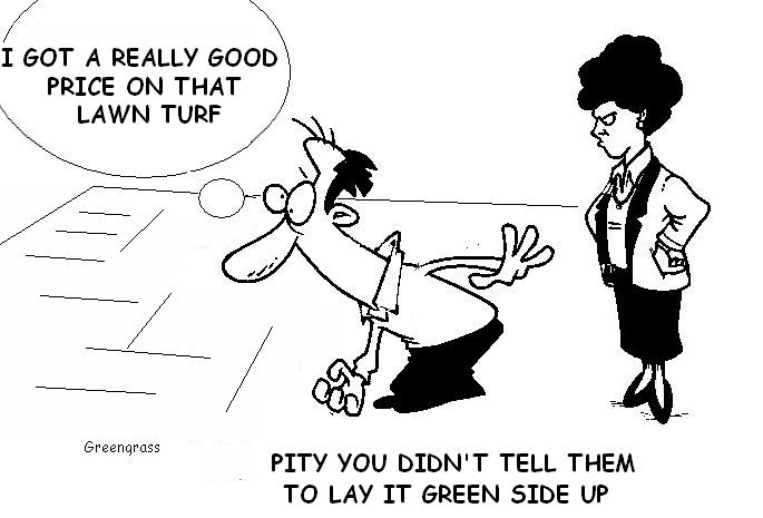 Greengrass Lawn Cartoons - Lawns in Spain Real Green Grass Lawns